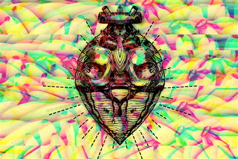 Jaime Dunkle Write From The Heart