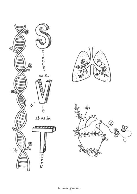Page De Garde Svt Sciences De La Vie Et De La Terre Svt Collège