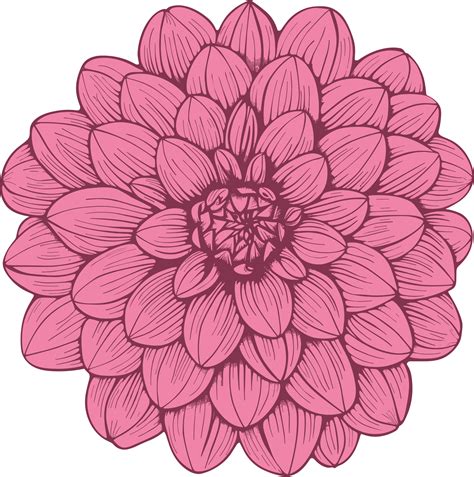 Dahlia Clipart Design Illustration 43860282 Png