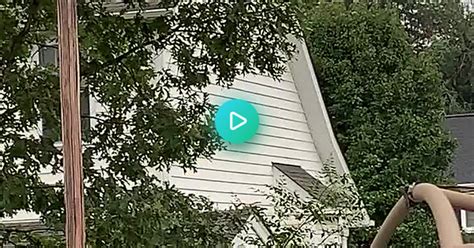 What Is This Bird With Sound Album On Imgur