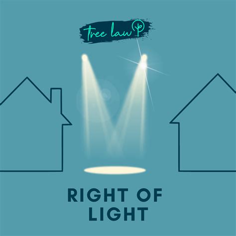 Law Of Nuisance Is There A Right To Light Tree Law Legal Tree Expert