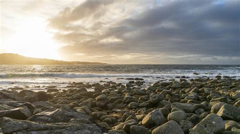 About Us — Alginor