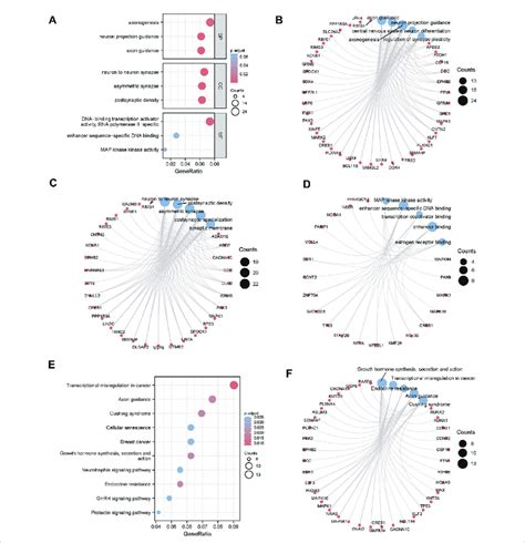 Functional Correlation Analysis Of Degs A Functional Enrichment