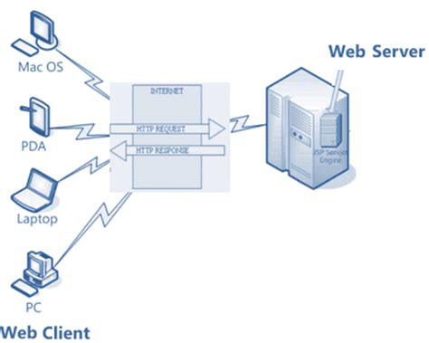 Internet Basics Chapter Notes Computer Application Class 10 Pdf