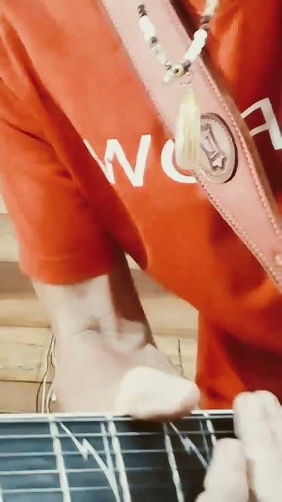 Lookwood🍊 Youtube