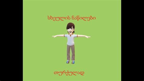 თურქული ენა და გრამატიკა სხეულის ნაწილები თურქულად Youtube