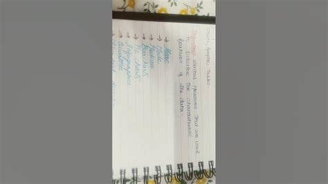 Descriptive Statistics Youtube