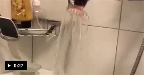 Funny Cat Let Me Continue Filming And Not Help At All GAG