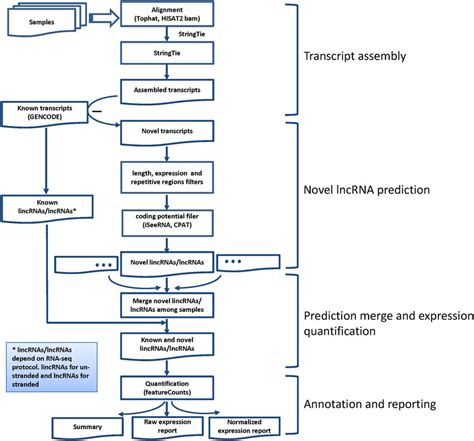 uclncr workflow diagram the workflow starts from aligned bam right