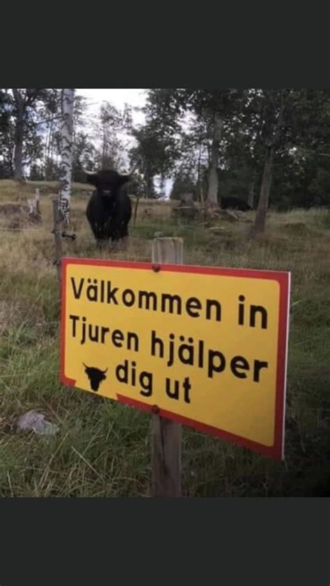Pin Tillagd Av Bettis På Roliga Vägskyltar Roliga Vägskyltar Lärarhumor Grattis På
