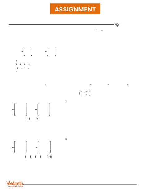 matrices assignment final pdf matrix mathematics functional
