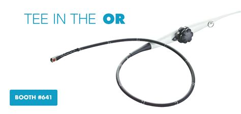 Fujifilm Sonosite Tee At Anesthesiology ® 2019