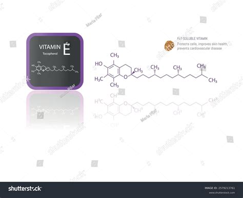Illustration Molecular Structure Vitamin E Tocopherol Stock Vector Royalty Free 2579213761