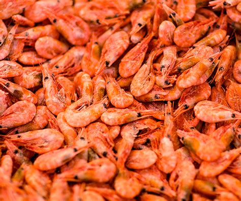 Купить КРЕВЕТКИ в СПб | Сытый Барин