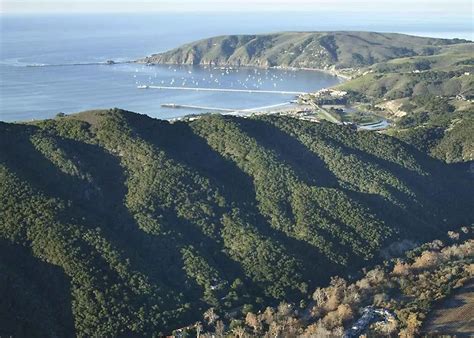Resort Sycamore Mineral Springs Avila Beach New 2025 Prices Reviews