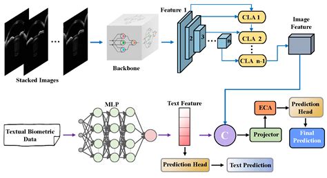 Qian Zhou 周潜 Homepage