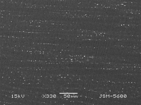Sem Micrographs Of The Microstructure Of Az31b Welding Zone Wz Alloy