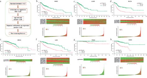 Construction Of The Probe Based Prognostic Classifier A Flowchart Of Download Scientific