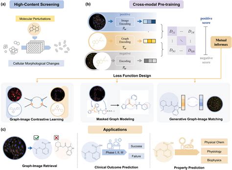 Publications Zheng Lab