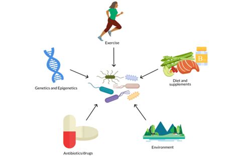 Nutrient Tolerance Can Be Influenced By Our Genes Assignment Point