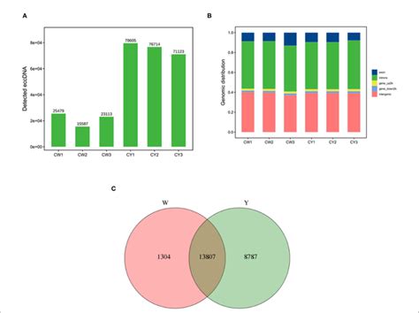 Dentification Of Eccdna And Its Derived Genes A Identification Of