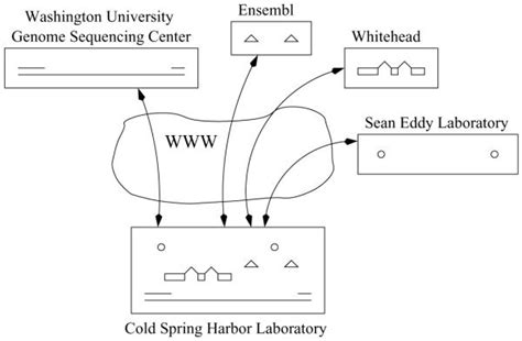 Basic Distributed Annotation System Architecture One Server Is The Download Scientific Diagram