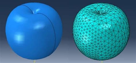 Three Dimensional Apple Model Before And After Meshing Download Scientific Diagram