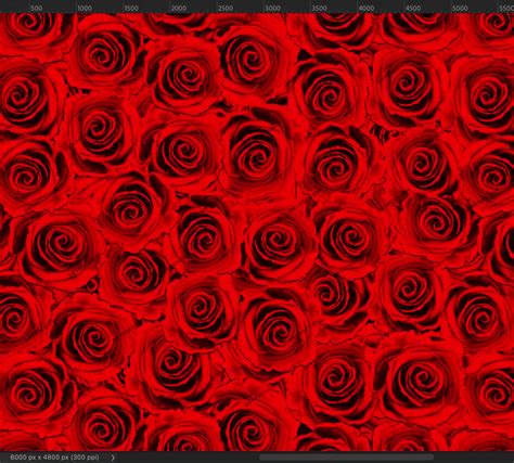 Rose Texture Background