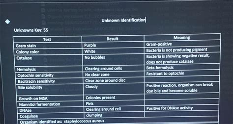 Solved Unknown Identification Unknown Key 55 HELP What Are Chegg Com