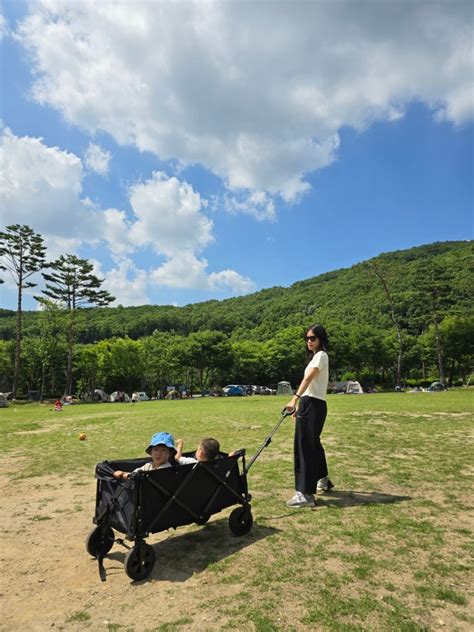 용인 아이랑 가볼 만한 곳 여름 전 최고의 나들이 장소 용인 자연휴양림 캠핑 네이버 블로그