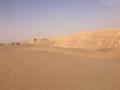 무료 이미지 경치 사막 모래 언덕 서식지 사하라 와디 에르그 자연 환 경 지리적 특징 바람 지형 3264x2448 92730 무료 이미지