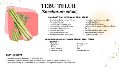 Detail Berita Web Terpadu Kabupaten Tangerang