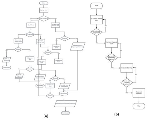 A Diagnosis Tests Flowchart For Lbp B Traditional Lbp Diagnosis Download Scientific Diagram