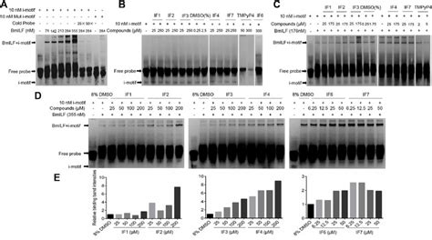 Emsa Analysis Of The Binding Of The Recombinant Bmilf Protein And The