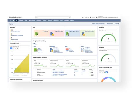 Best Netsuite Customization Services