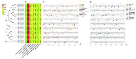 Prediction Of Cis Acting Elements In The Nbcrrlk1l Promoter Regions A
