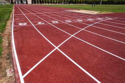 Premium Photo Zebra Crossing On Field