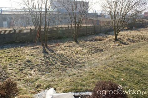 Jak Zagospodarowa Ten Ug R Forum Ogrodnicze Ogrodowisko