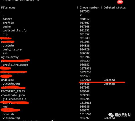 Rm Rf 误删文件?别急,或许有救! Linux运维 Php中文网 Rm Rf 误删文件?别急,或许有救! Linux运维 Php中文网