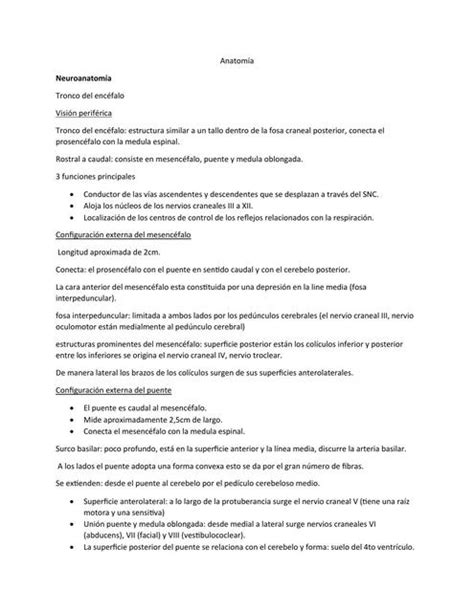 Tronco Del Encefalo Melissa Udocz