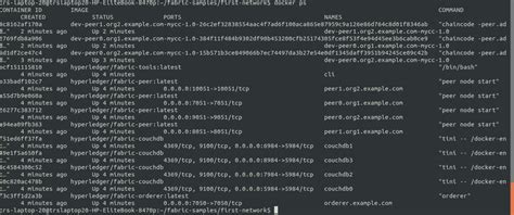 Hyperledger Fabric Extending The Network By Adding New Peer