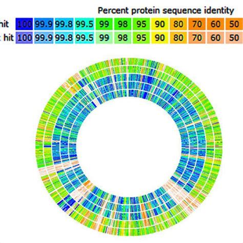 genomic sequence comparison using the rast server download scientific diagram