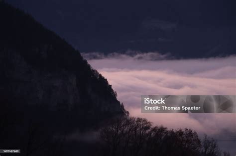 스위스의 툰 호수 위로 그림 같은 보라색 일출이 펼쳐지는 아침 안개 스위스 알프스 풍경과 자연 사진 나무로 덮인 숲 전경과 호수 위의 구름 층 가로수에 대한 스톡 사진 및