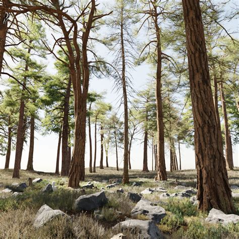 Finished Procedural Nature Scenes Builder Finished Projects Blender Artists Community