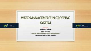 WEED PPT SLIDES Pptfreedownloadddddddddd PPT