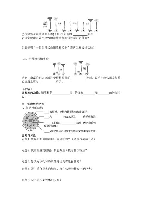 3 3 细胞核的结构与功能 导学案 人教版（2019）必修1（含答案） 21世纪教育网