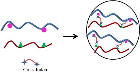 Hydrogel Synthesis Using Chemical Cross Linking Method With The Help Of Download Scientific