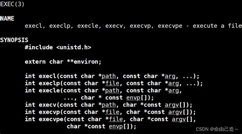 【linux】进程控制详述linux Execl Csdn博客