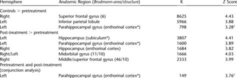 VOXEL BASED MORPHOMETRY RESULTS Download Table
