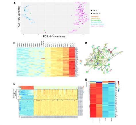 Multiple Comparison Of Transcriptomic Profiles A Principal